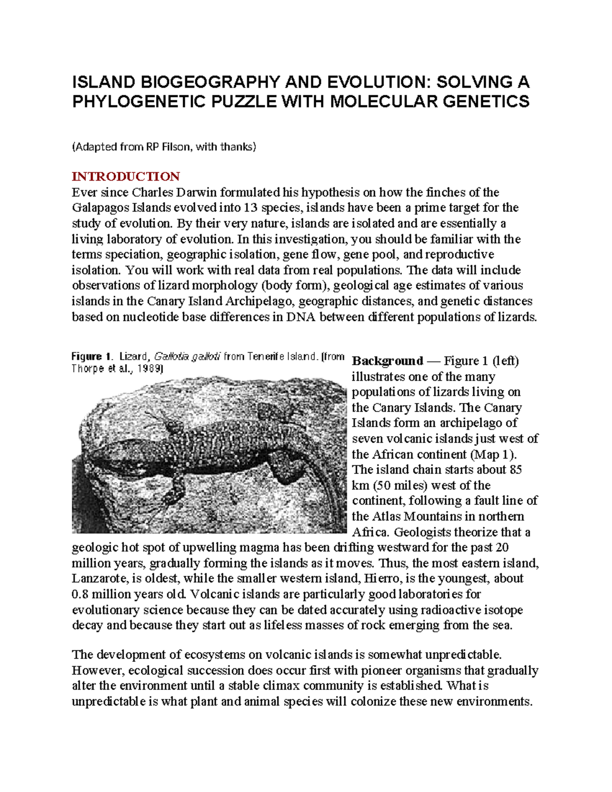 Island Biogeography and Evolution: A Study of Canary Lizard Phylogeny ...