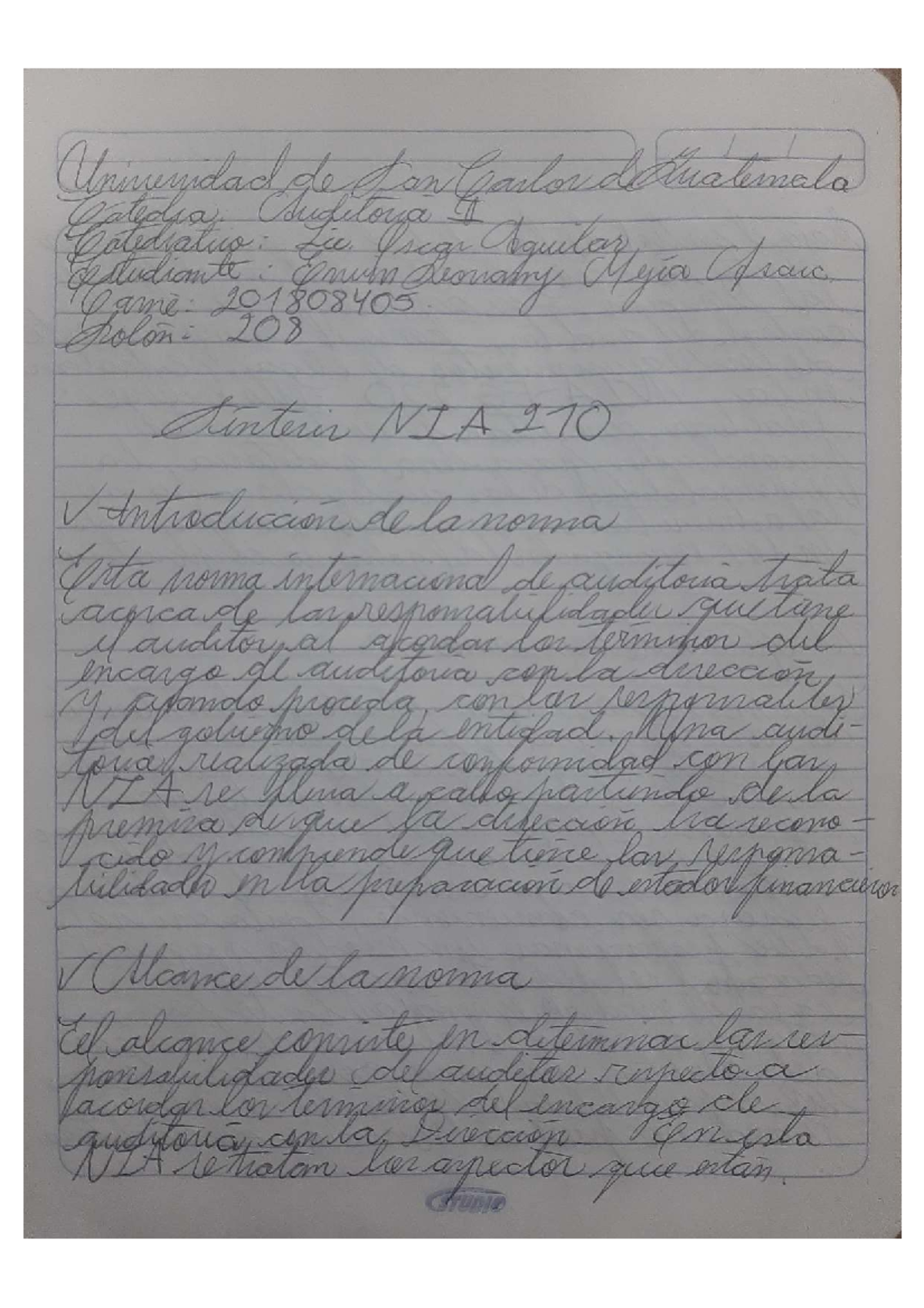 Síntesis de la NIA 210: Normas Internacionales de Auditoría 2018 - Studocu