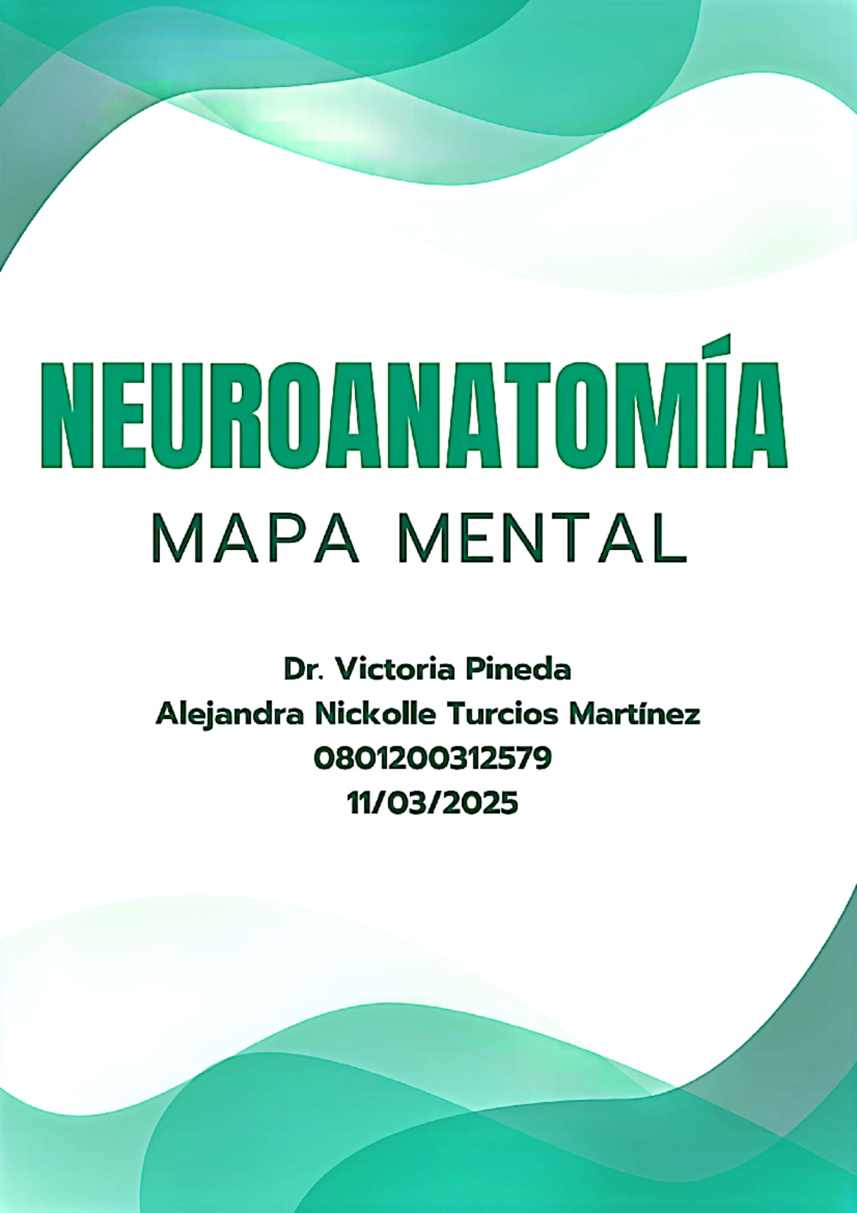 Mapa Mental de Neuroanatomía NEURO 2P - Dr. Pineda & Turcios - Studocu