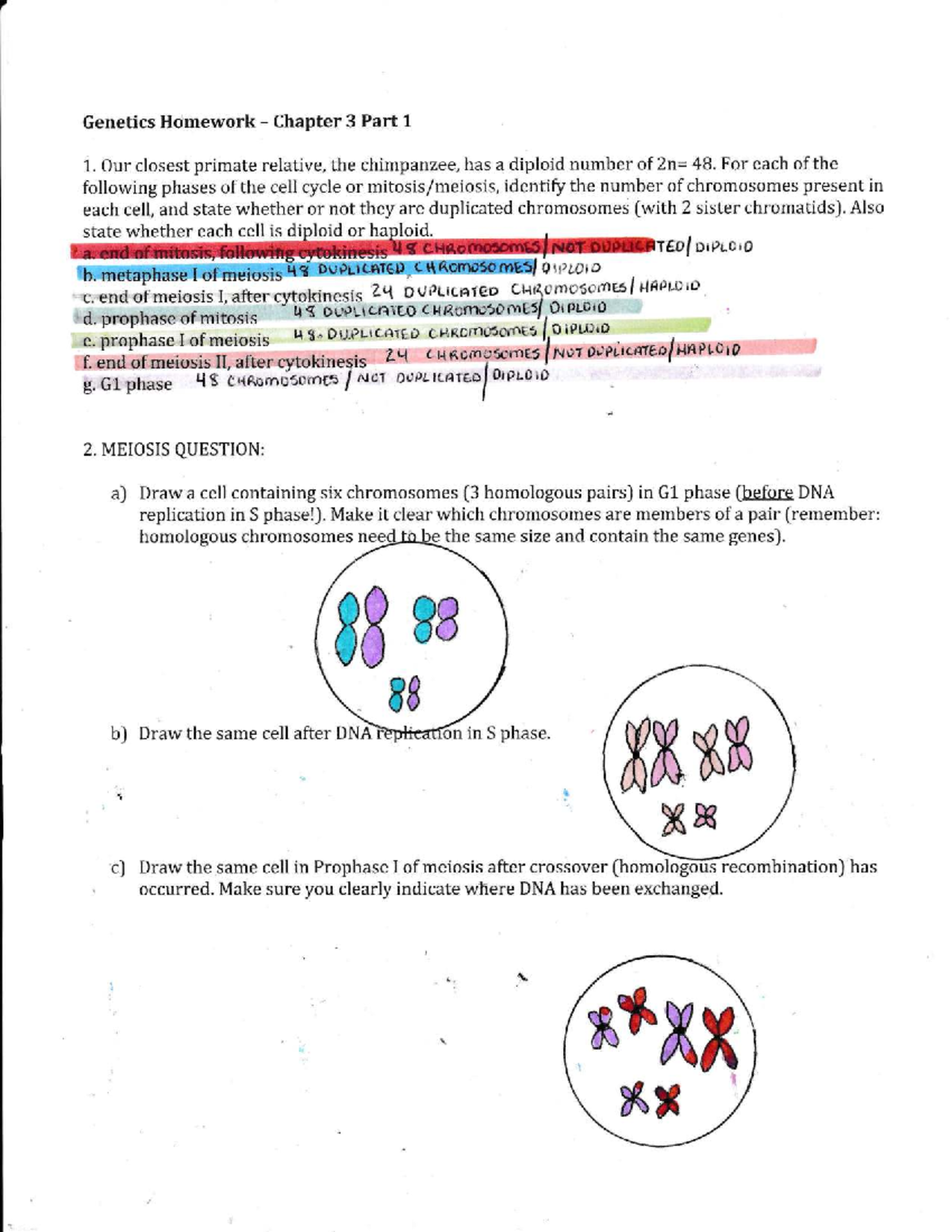 Genetics Homework CH 7: Chapter 3 Cell Cycle & Meiosis Concepts - Studocu