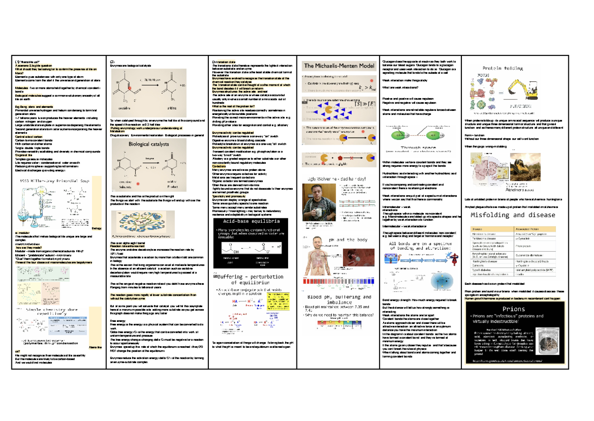 Biochemistry (BIO 201) Midterm Preparation Notes: Enzymes & Protein ...
