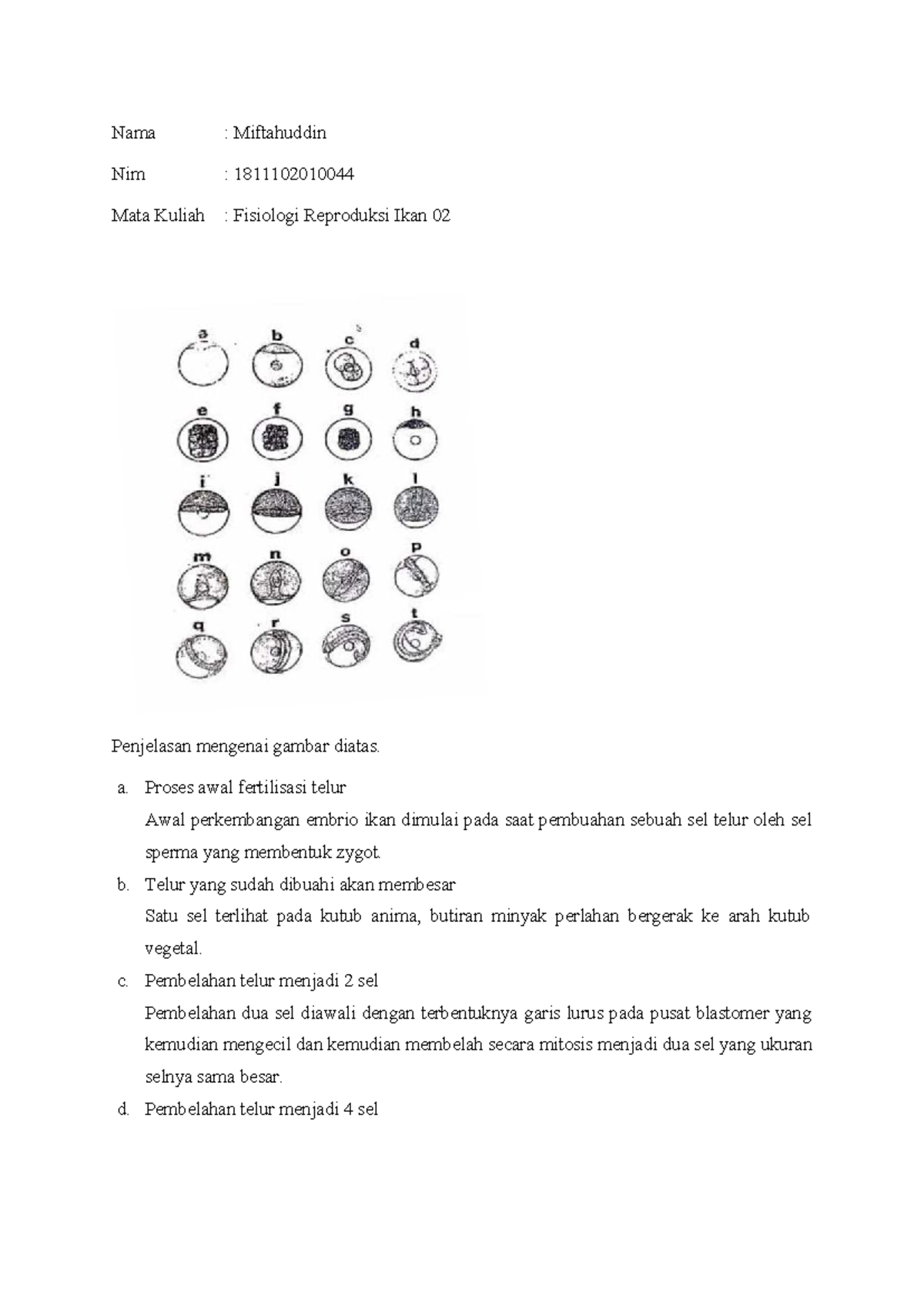 Fisiologi Reproduksi Ikan 02: Proses Fertilisasi dan Perkembangan ...