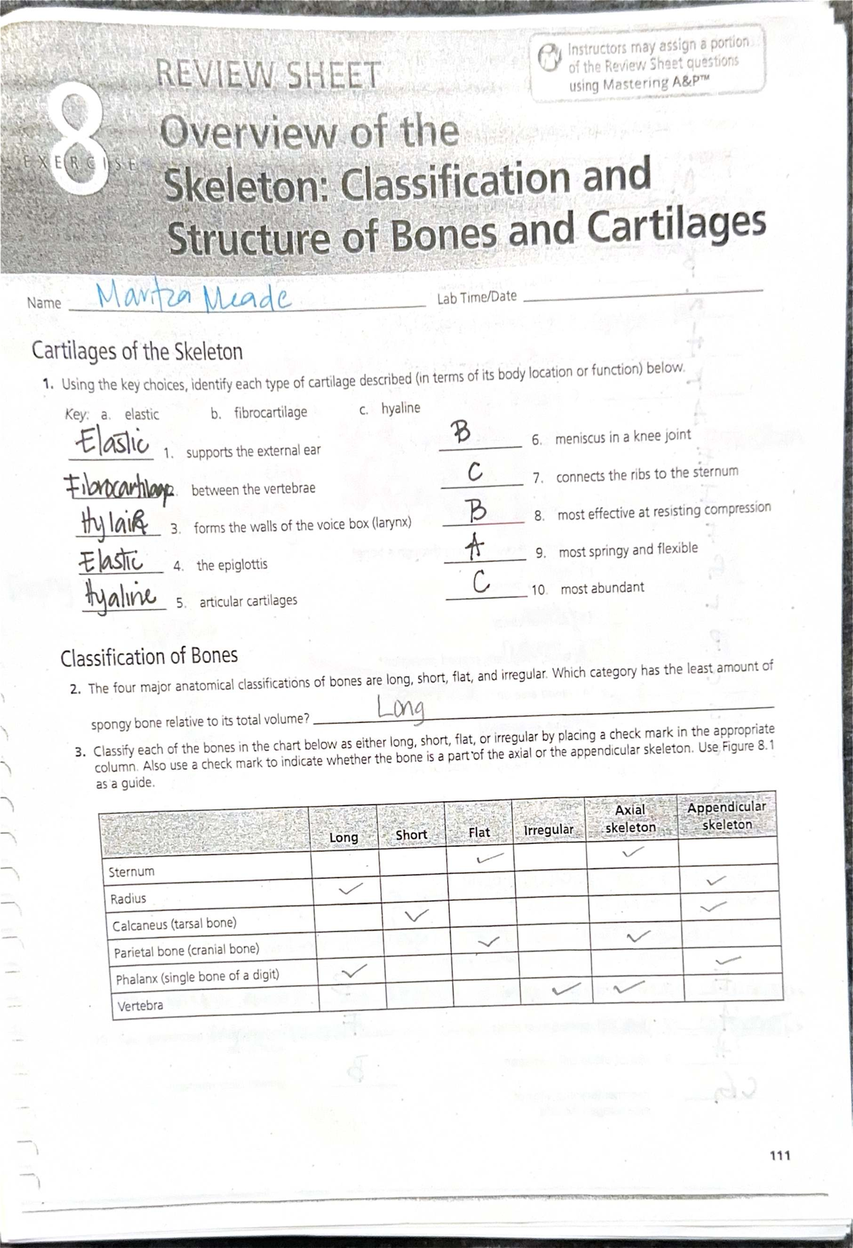 Exercise 8 Review Sheet: Classification & Structure of Bones and ...