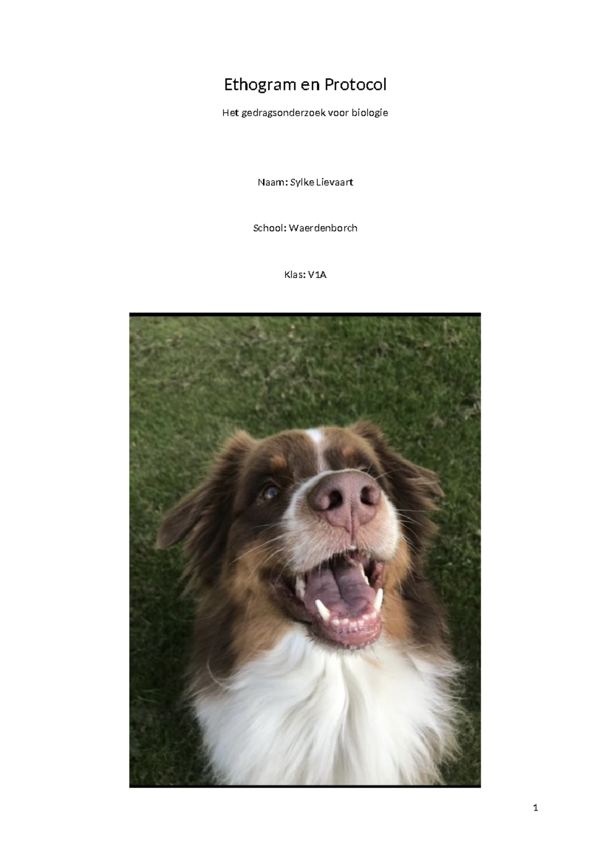 Biologie Ethogram & Protocol - Gedragsonderzoek V1A - Studeersnel