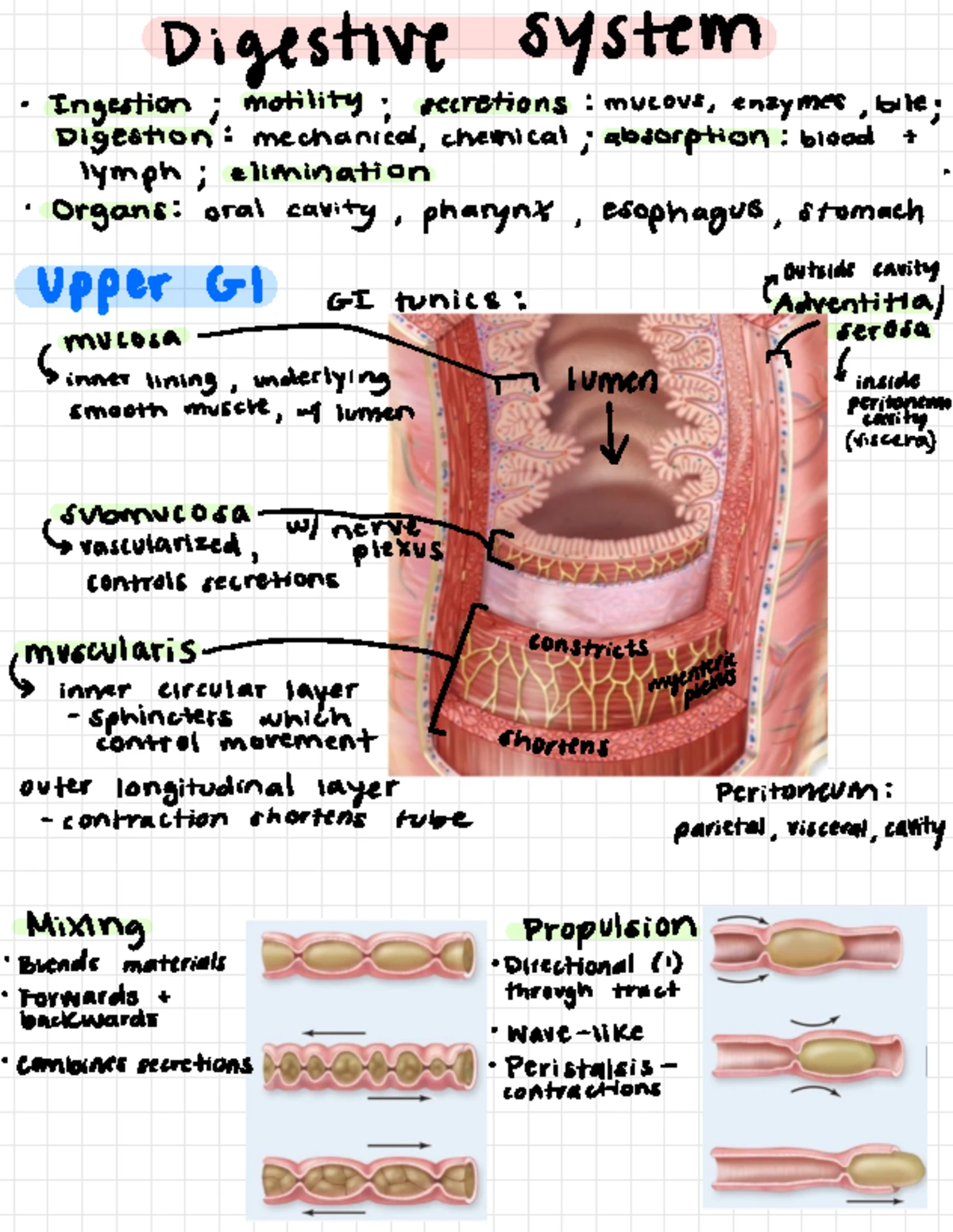 BIOS256 Week 1 Onsite Lab - Week 1 Onsite Lab Instructions Anatomy of ...