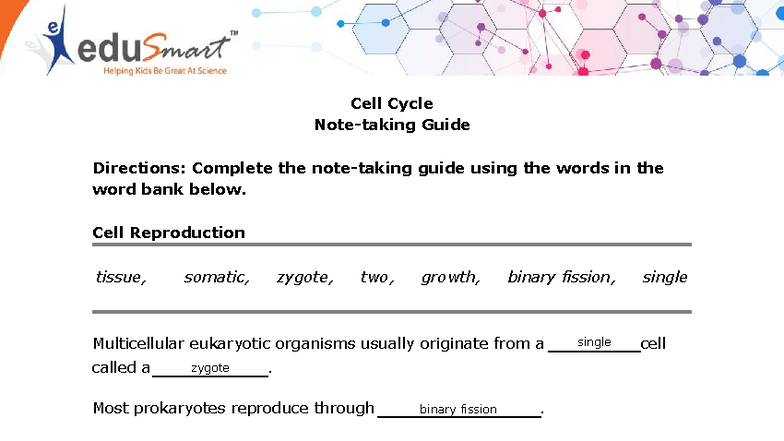 B05AN-Cell Cycle Study Guide: Understanding Cell Division - Studocu