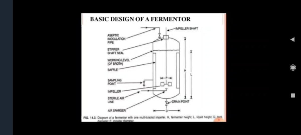 Industrial Fermenter Diagram