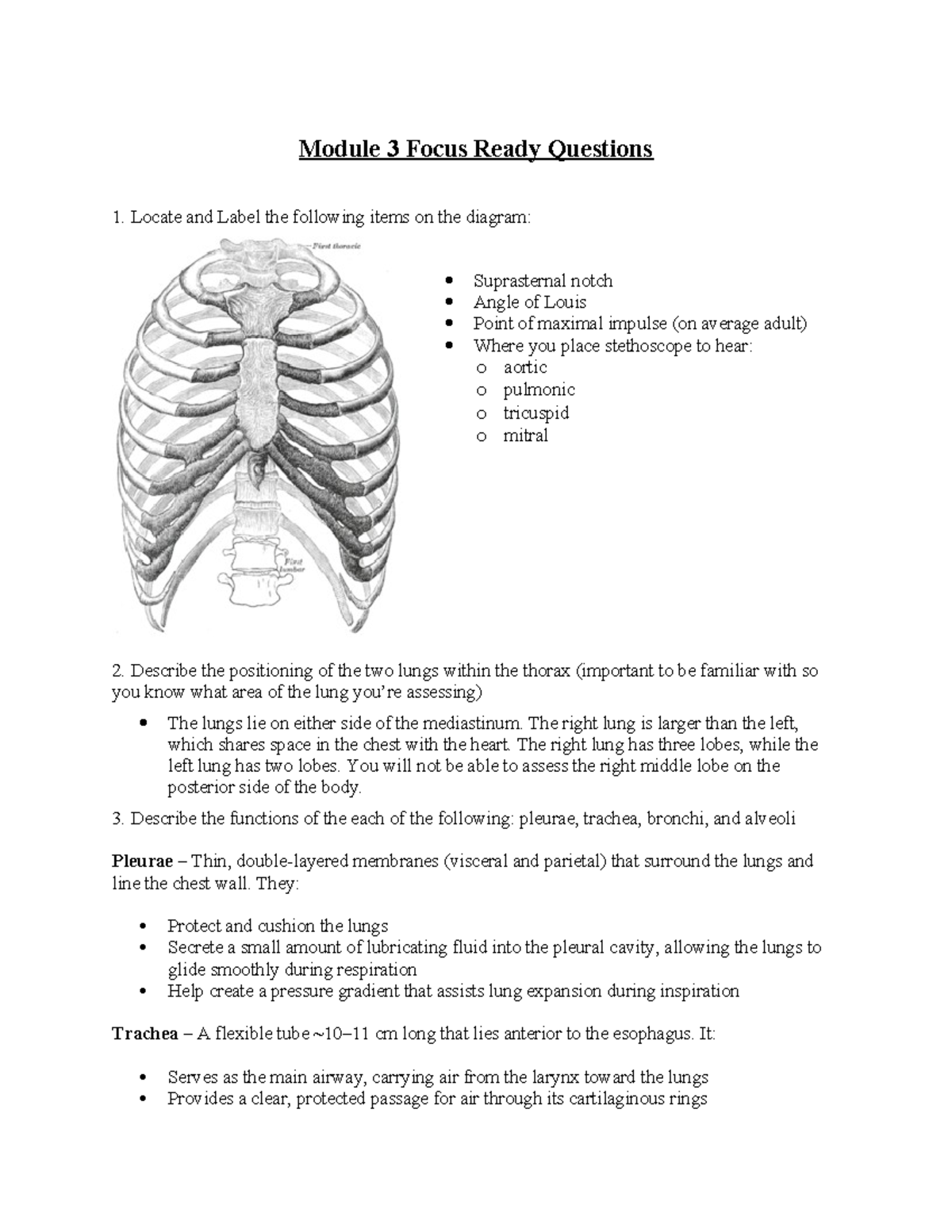 Module 3 Focus Ready Questions: Respiratory & Cardiovascular Assessment ...