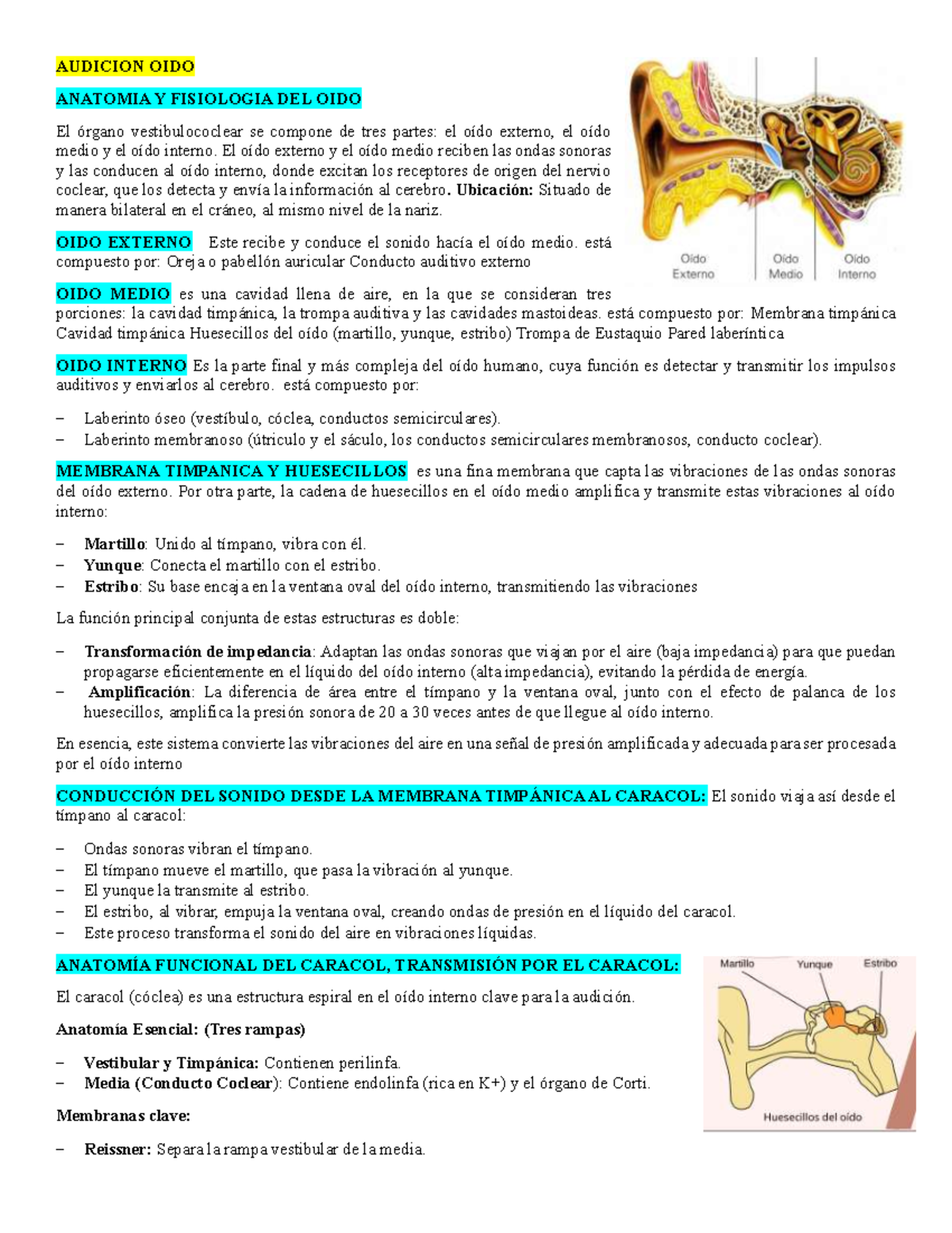 AUDICION OIDO: Anatomía y Fisiología del Oído (Curso AUD101) - Studocu