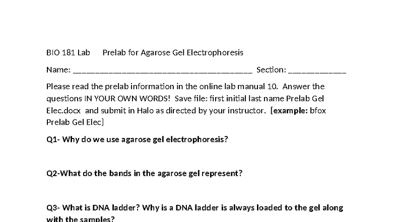 BIO 181 Lab: Prelab for Agarose Gel Electrophoresis - Studocu