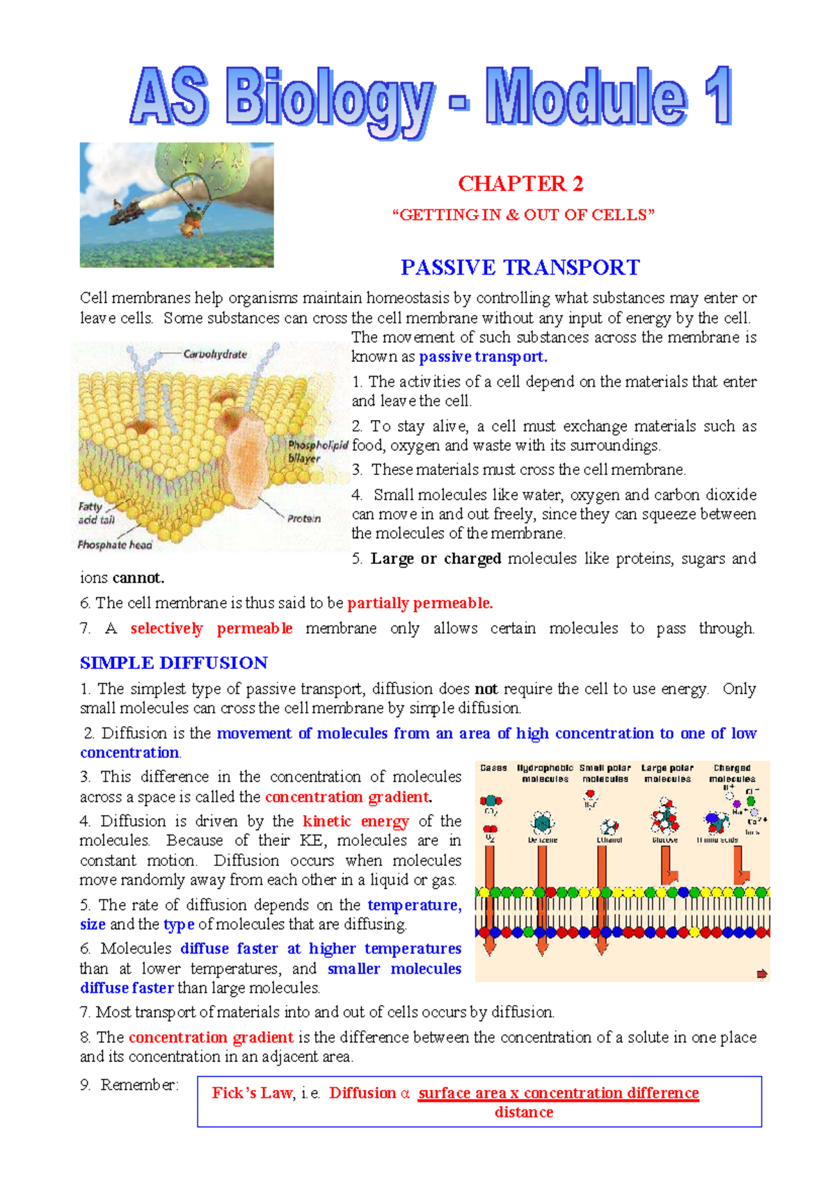 Ch 2 - Passive Transport Mechanisms in Cell Membranes - Studocu