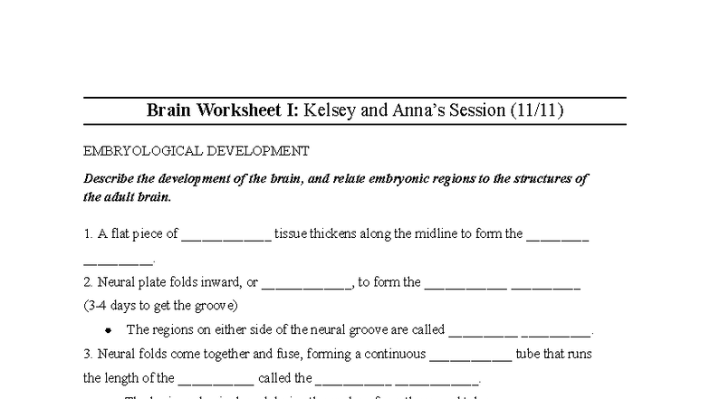 Brain Worksheet I: Embryological Development of the Brain - Studocu