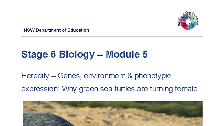 Biology Year 12 Module 5: Genes & Environment Impact on Turtle Sex ...