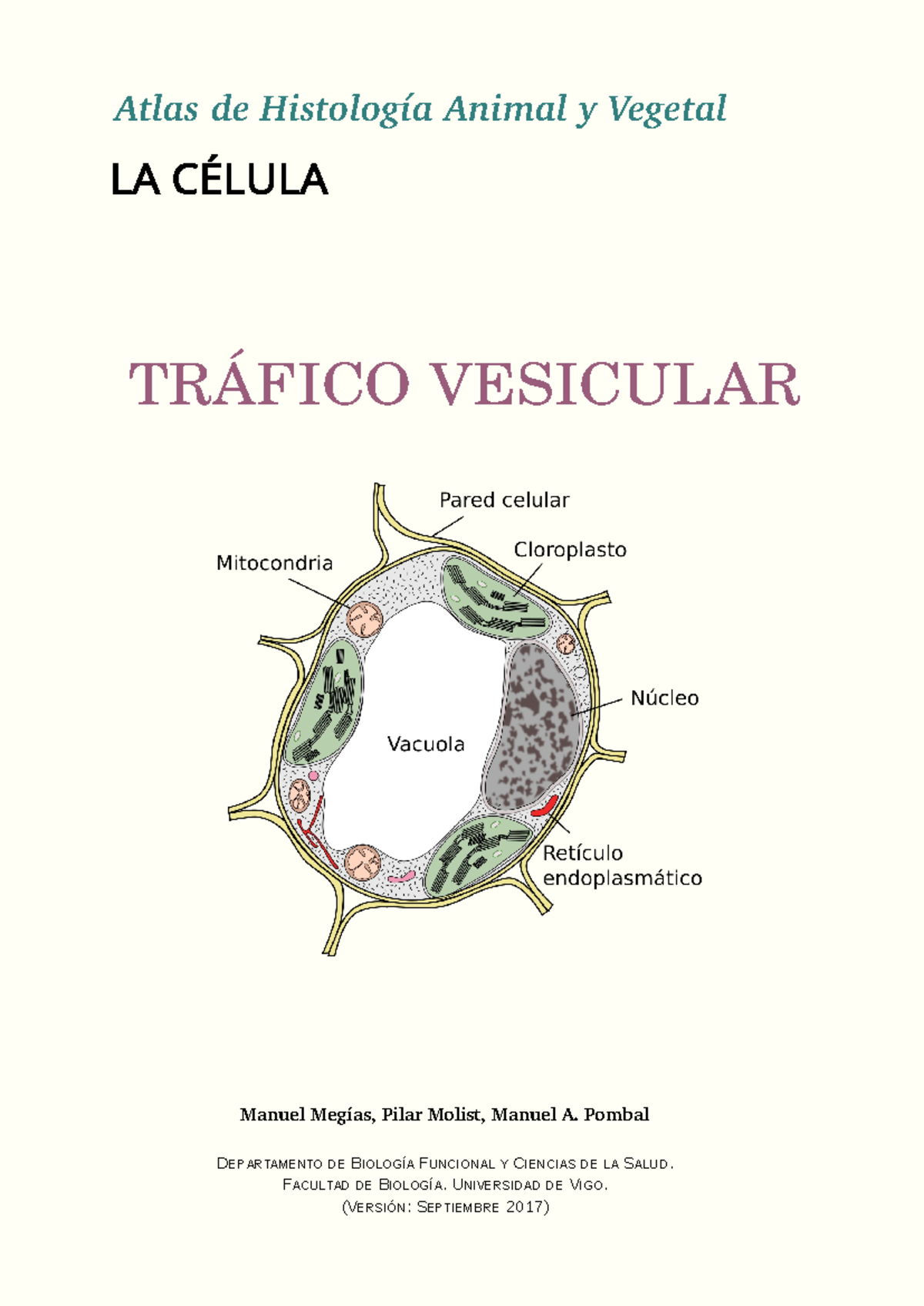 Tráfico Vesicular en una Célula - Atlas de Histología Animal y Vegetal ...