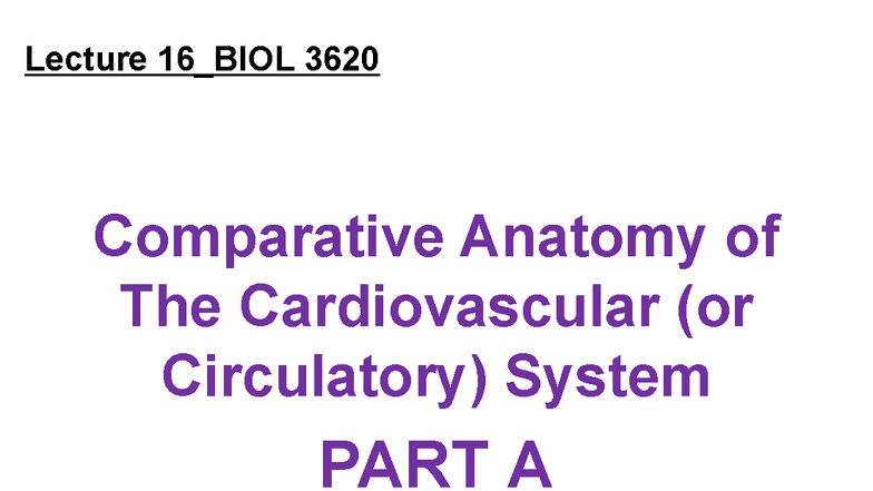 Comparative Anatomy of the Cardiovascular System - Lecture 16_BIOL 3620 ...
