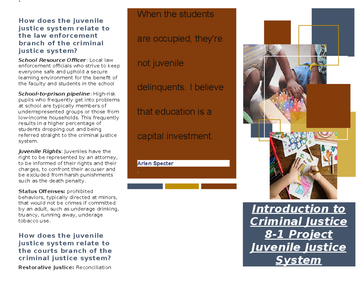 8-1 Project: Understanding the Juvenile Justice System in Criminal ...