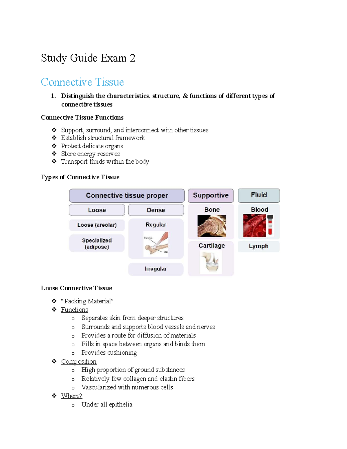 Study Guide Exam 2: Connective Tissue Characteristics and Functions ...