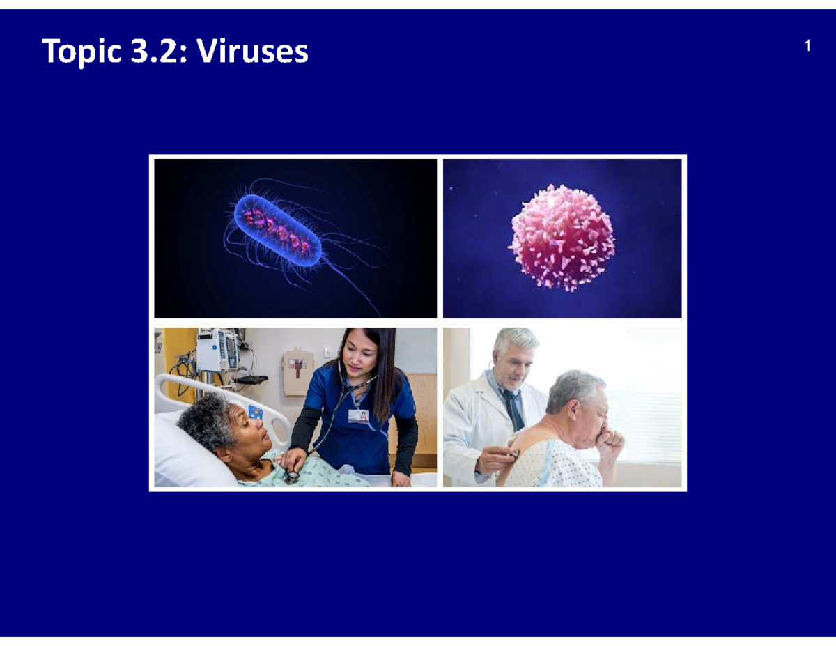 Viral Multiplication Processes: Animal & Bacteriophage Viruses (BIO 101 ...
