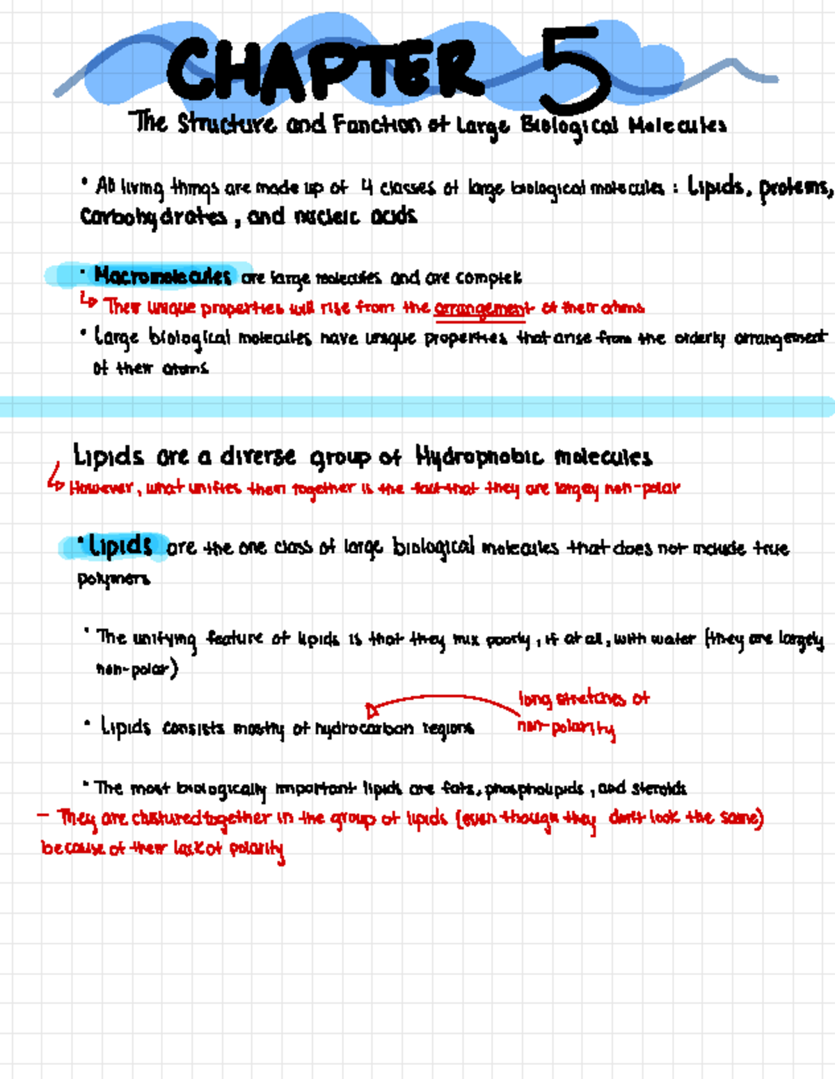 Biology Lecture: Chapter 5 - Structure & Function of Biological ...