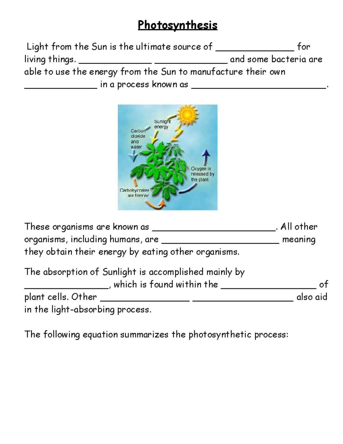 Photosynthesis and Cellular Respiration: Student Notes - Studocu