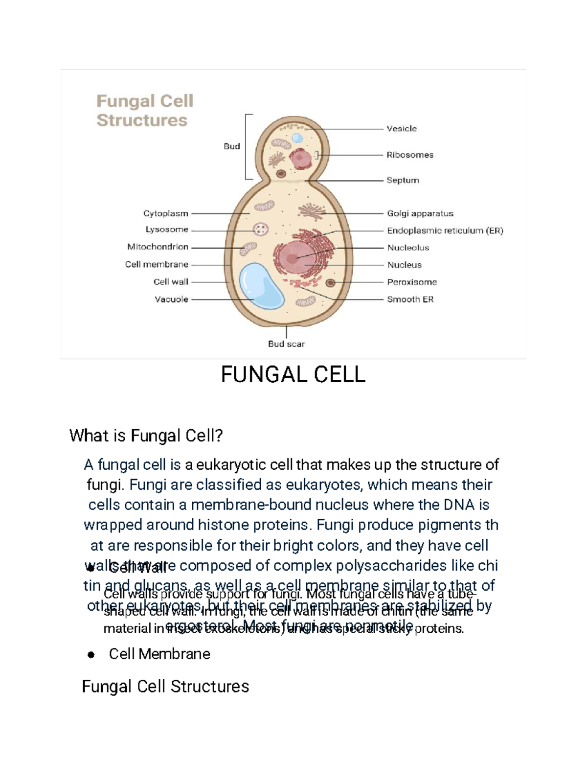 General Biology: Fungal Cell Structure and Reproduction - Studocu