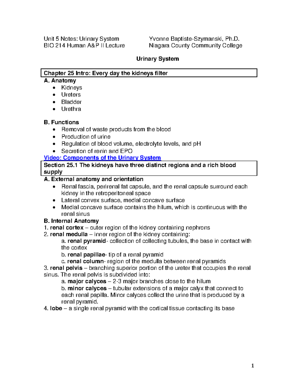 Unit 5 Lecture Notes: Urinary System - BIO 214 A&P II - Studocu