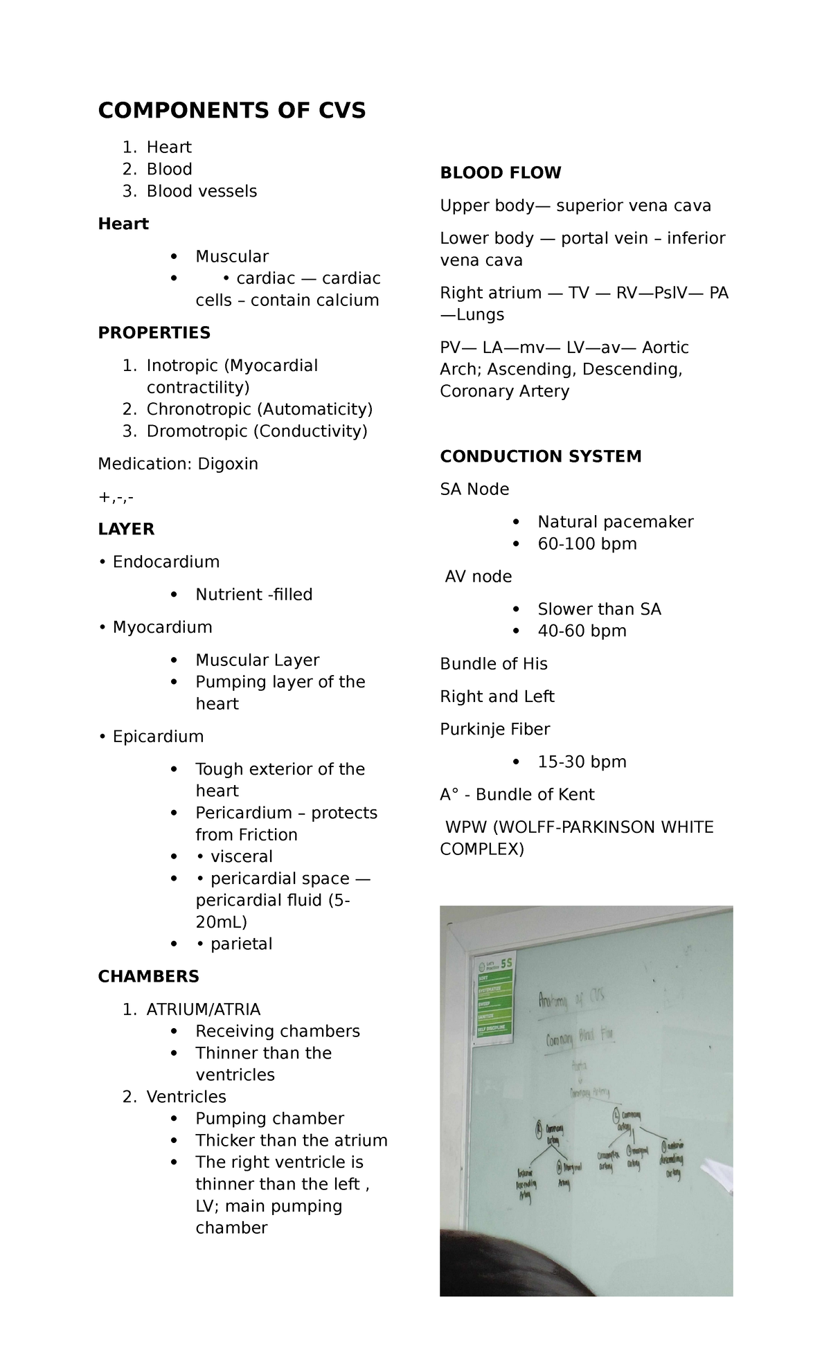 HA of CVS - Comprehensive Health Assessment Notes on Cardiovascular ...