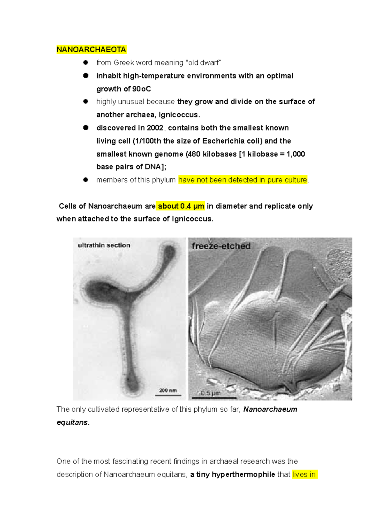 Nanoarchaeota: Unique Symbiotic Archaea of High-Temperature Habitats ...