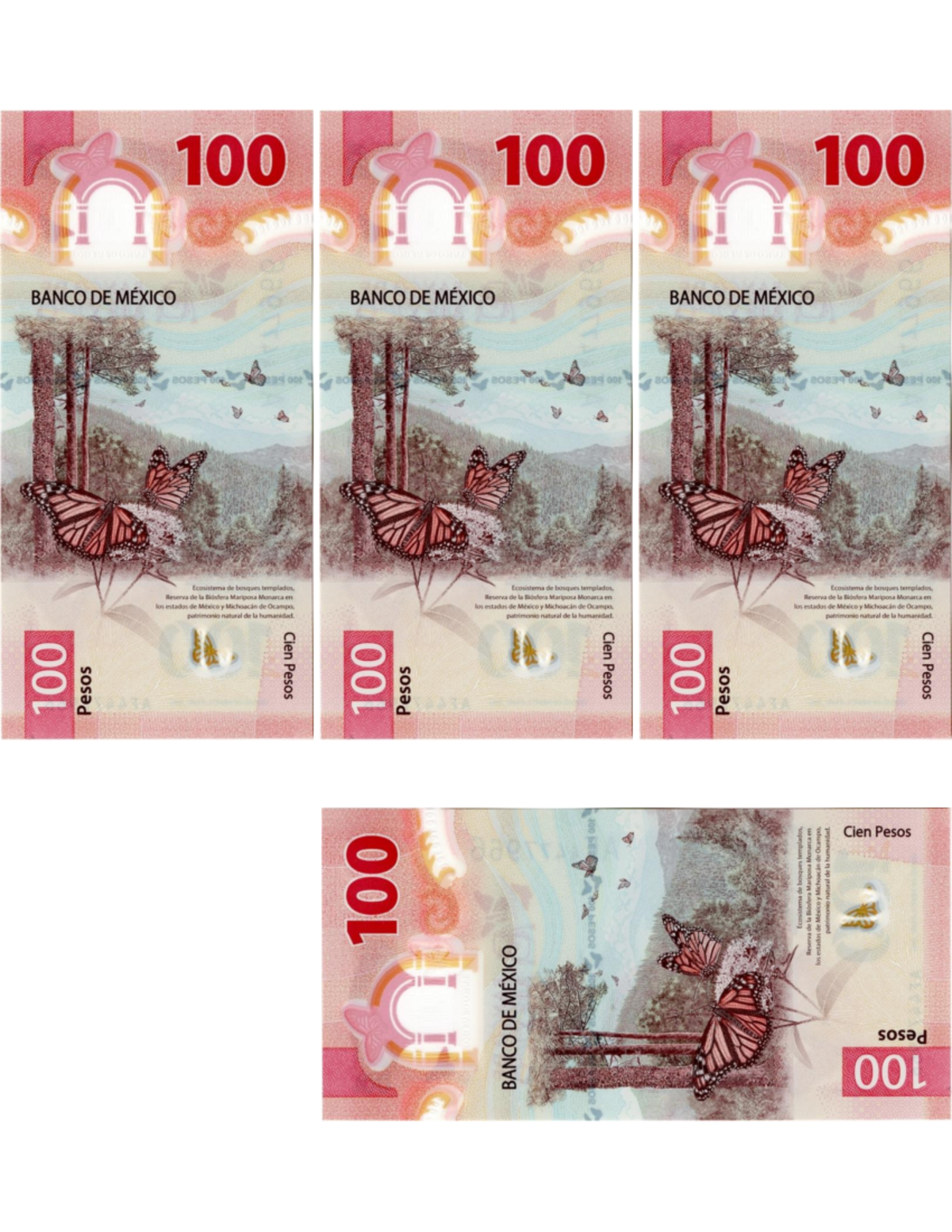 Ecosistema de Bosques Templados y Reserva de la Biósfera Monarca - Studocu