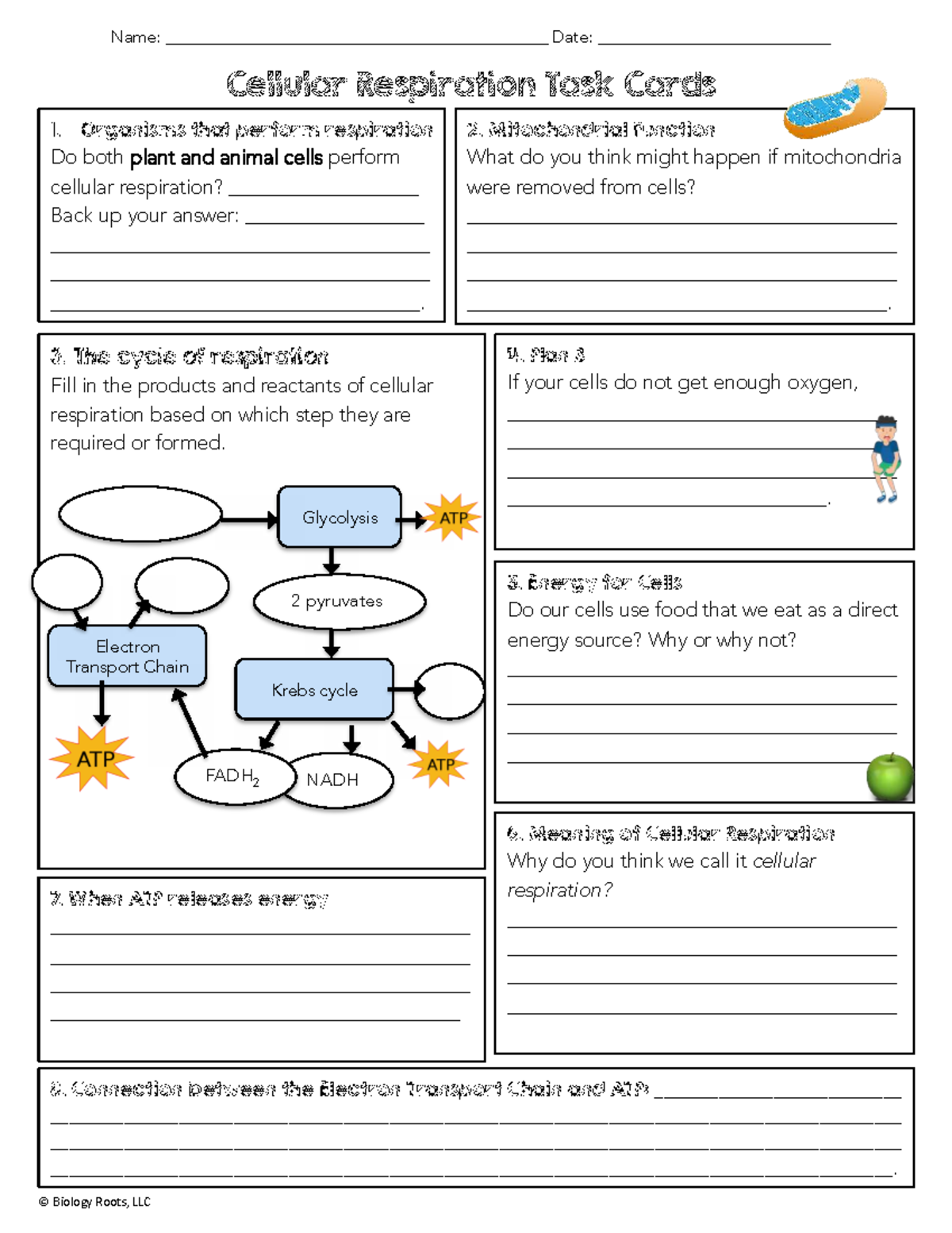 Cellular Respiration Task Card Answers and Discussion (BIO101) - Studocu