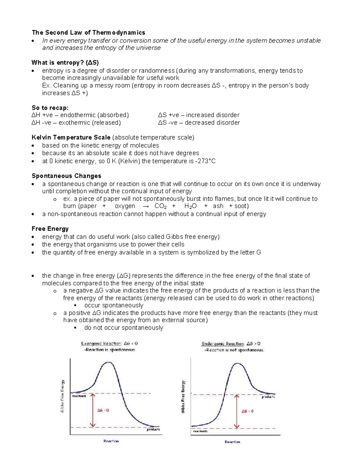 Gibbs Free Energy & ATP: Understanding Thermodynamics (CHEM 101) - Studocu