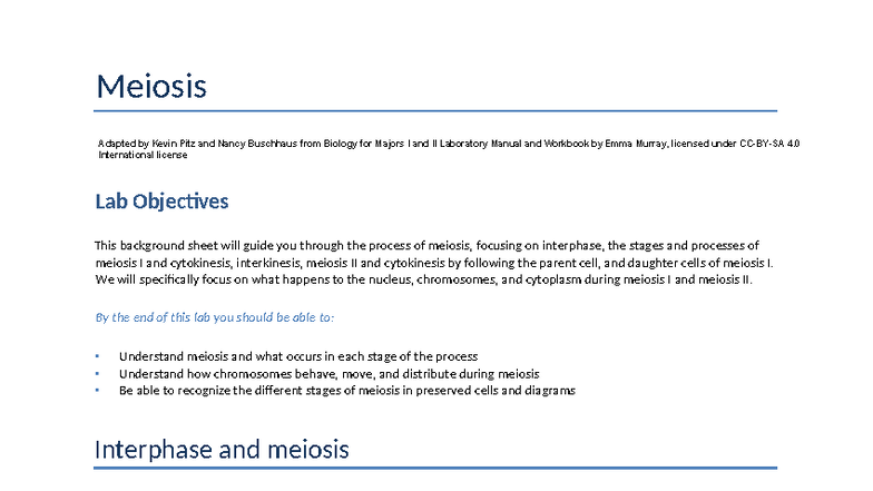 Understanding Meiosis: A Comprehensive Lab Guide (Bio I & II) - Studocu