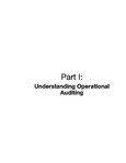 Operational Auditing - Studocu