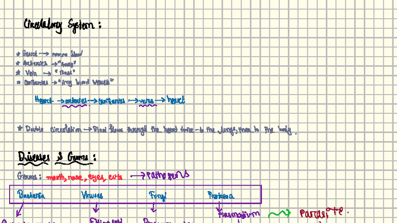 Science - Notes on Circulatory System & Disease Prevention - Studocu