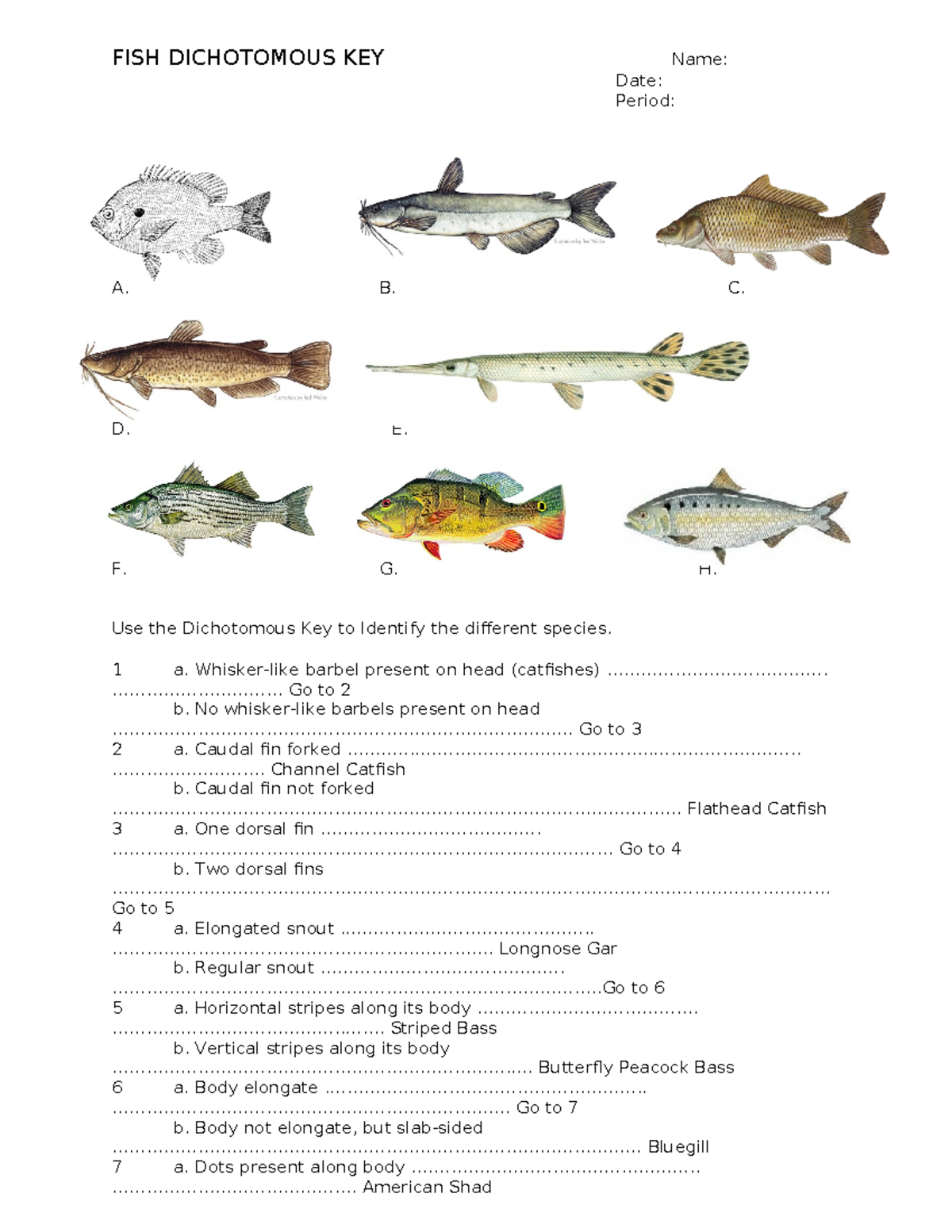 Fish and Plant Dichotomous Keys for Identification (BIOL101) - Studocu