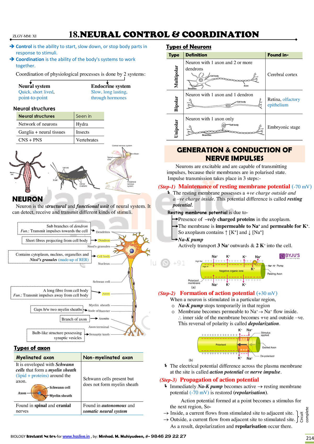 HSSLIVE +1 ZOOLOGY: Detailed Study on Neural Control & Coordination ...