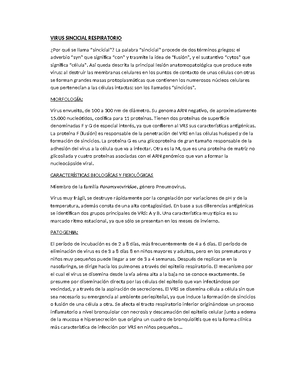 Presentación Peste Bubónica - Presentación Peste Bubónica Introducción ...