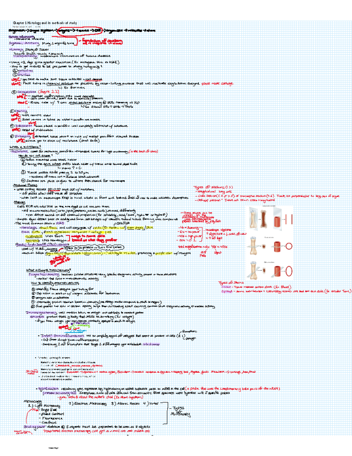 Histology Chapter 1 Notes - BIOL 3064 - Chapter 1 Histology and its ...