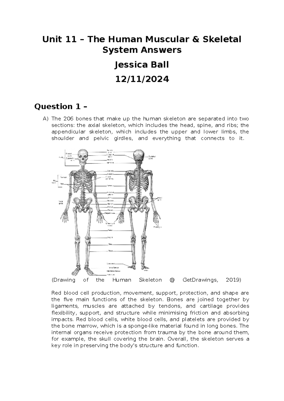 Unit 11 Answers: Human Muscular & Skeletal Systems Overview - Studocu