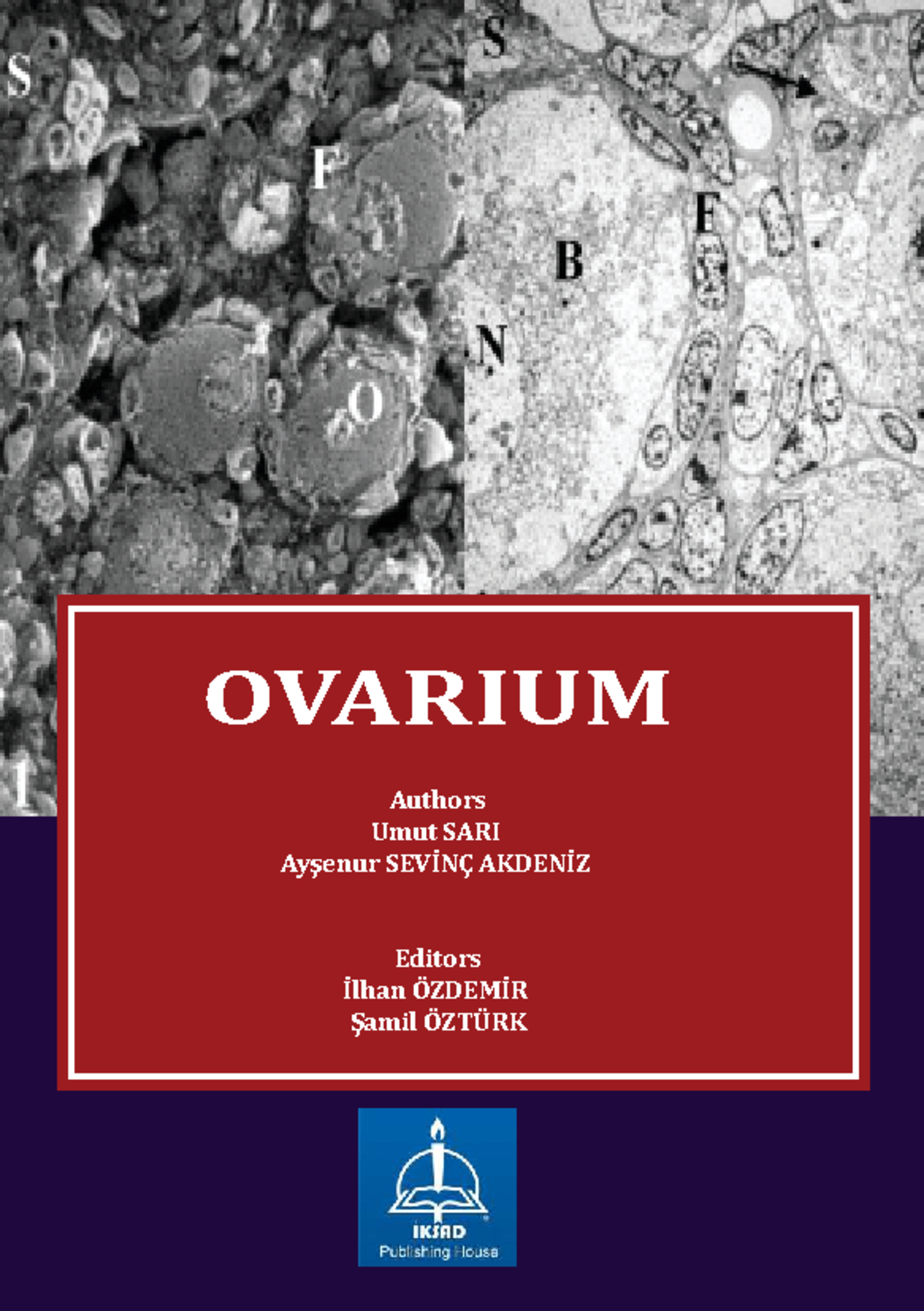 OVARIUM Anatomy and Physiology: A Comprehensive Study - Studocu