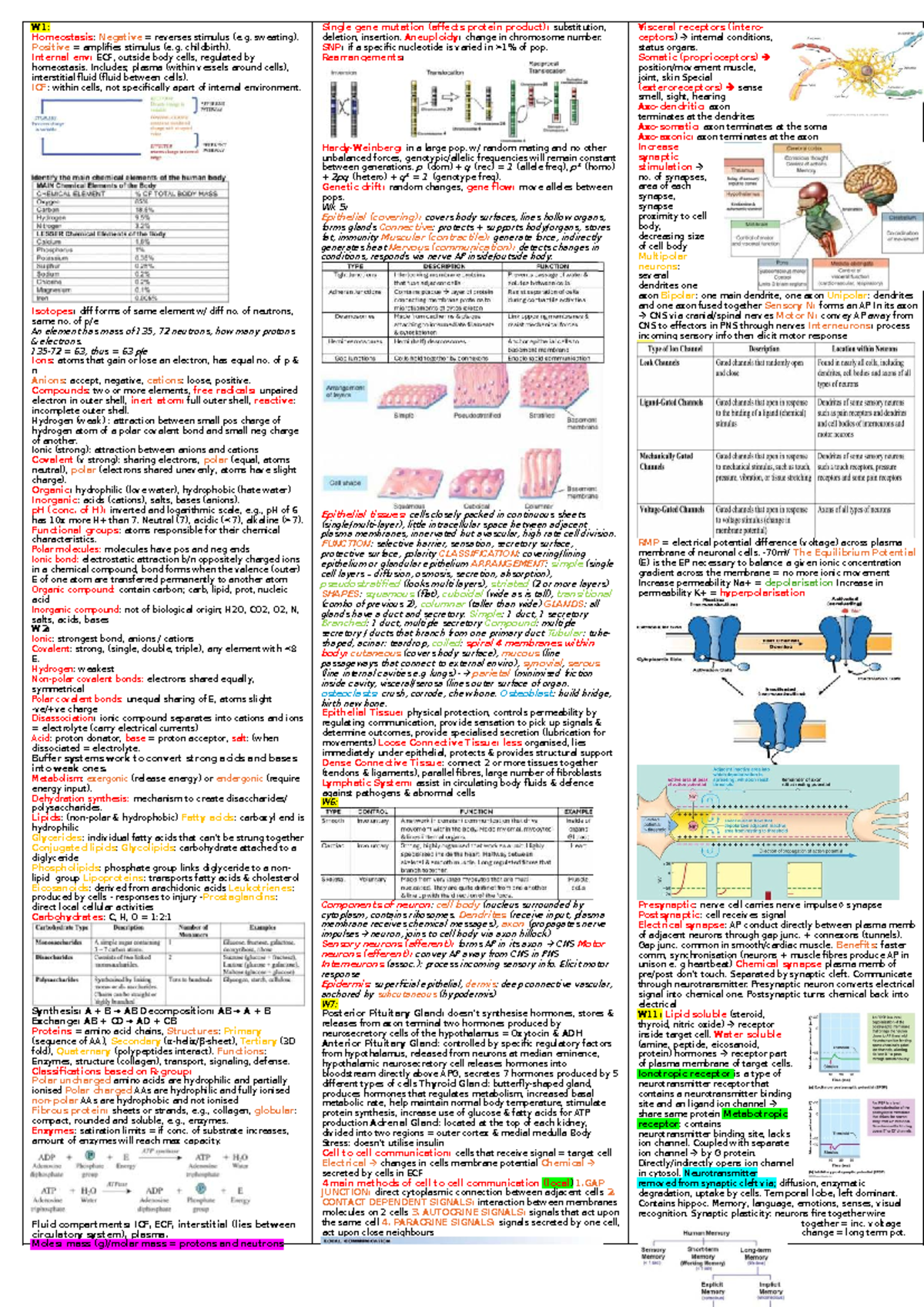 W1: Homeostasis and Cellular Biology Cheat Sheet for Biomed - Studocu