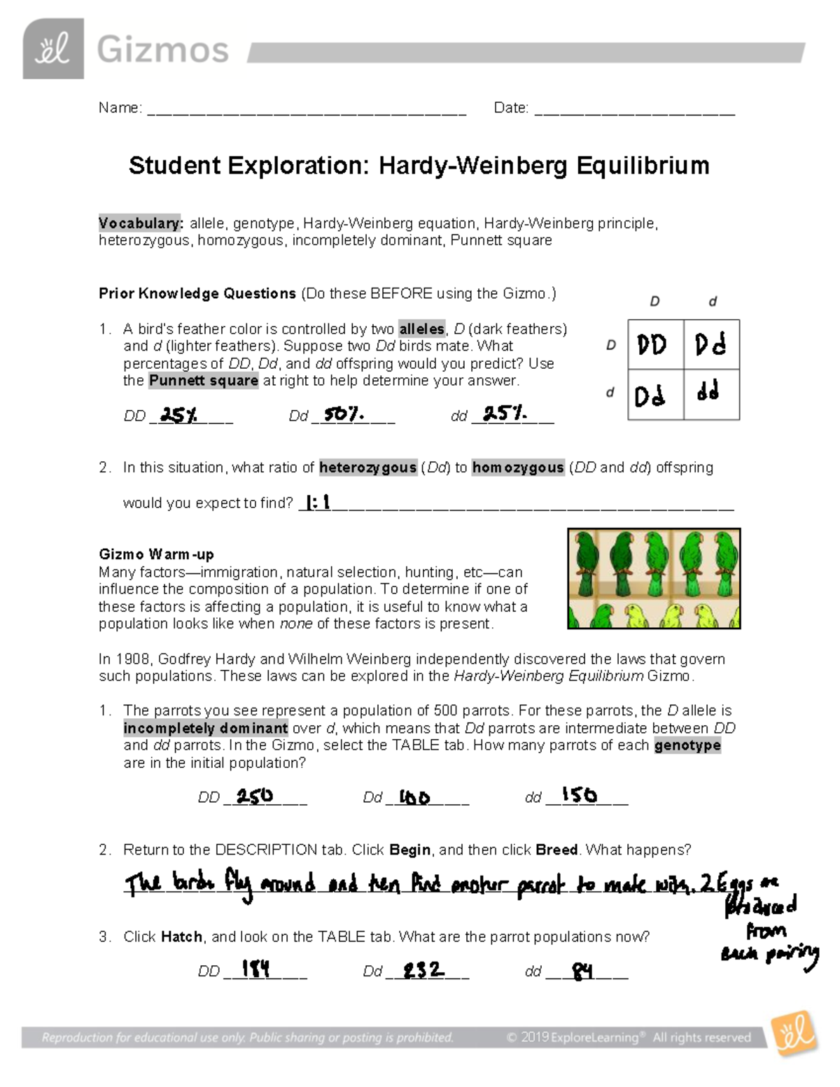 Hardy-Weinberg Equilibrium Exploration - Gizmo Activity SE - Studocu