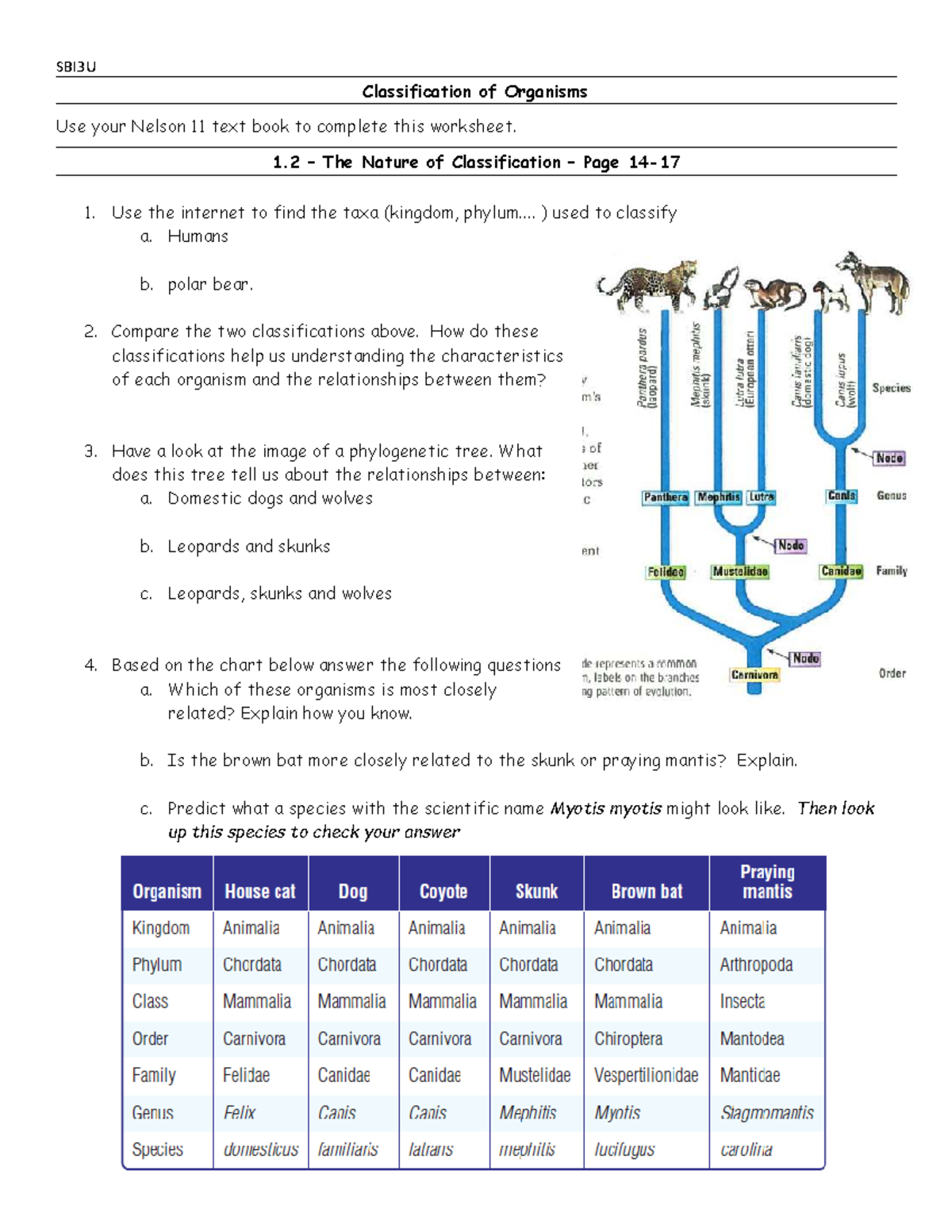 SBI3U Classification of Organisms: Understanding Taxonomy and Phylogeny ...