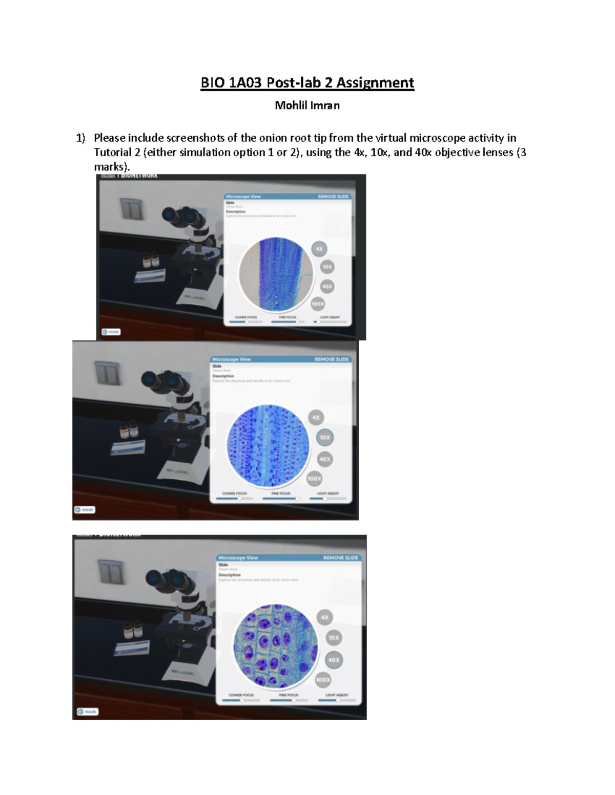 BIO 1A03 Post-lab 2 Assignment Overview and Key Insights F2022 - Studocu