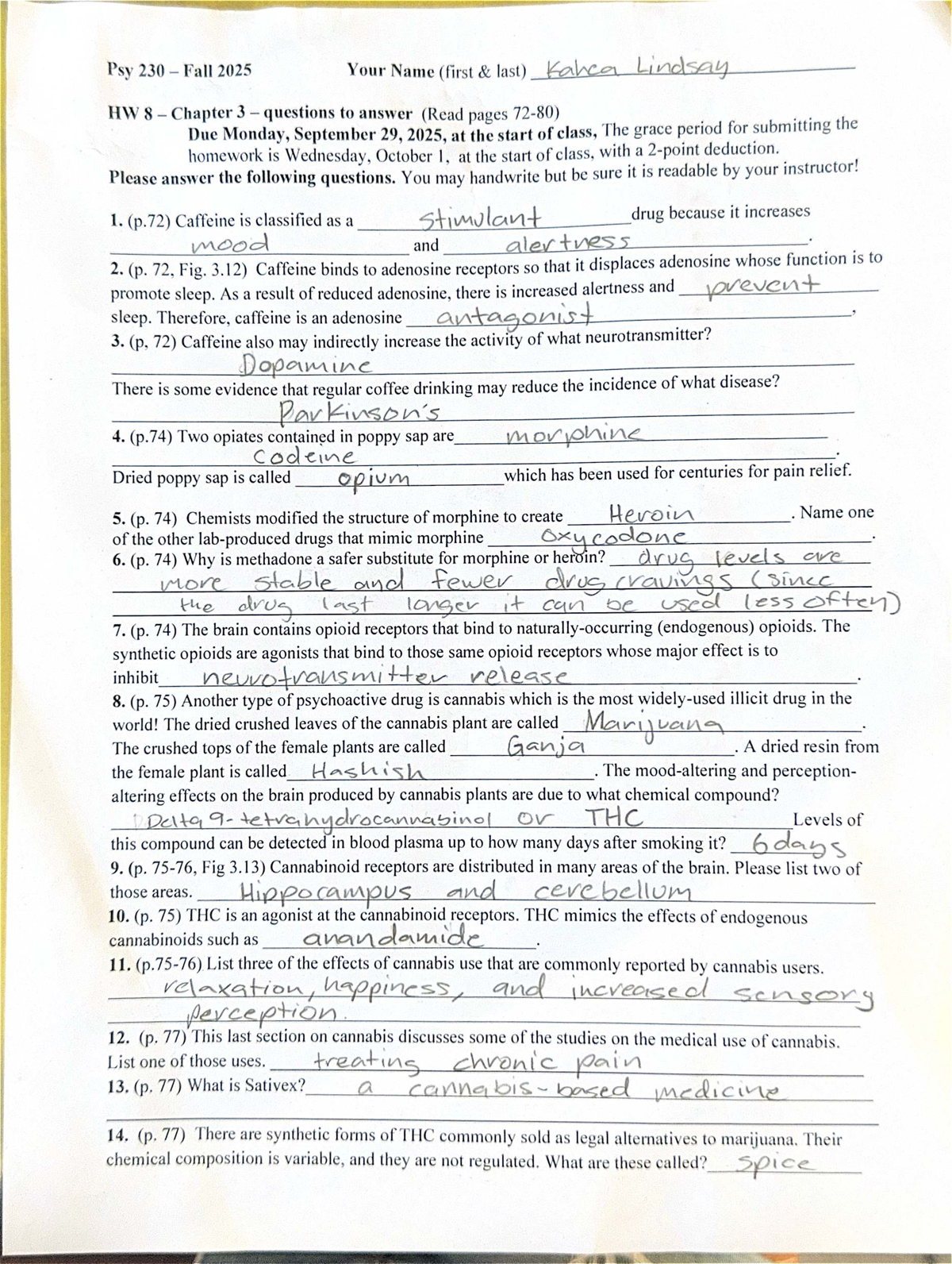 Psy 230 Fall 2025 HW 8: Chapter 3 Questions & Answers - Studocu