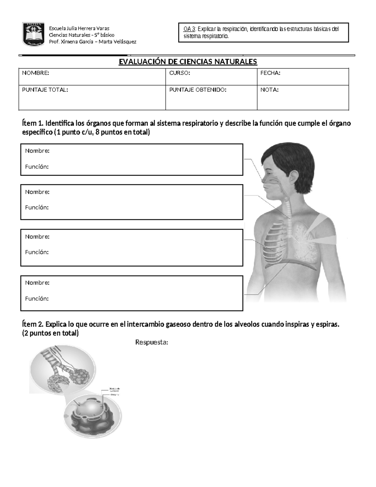 Evaluación Sistema Respiratorio - Ciencias Naturales 5to Básico - Studocu