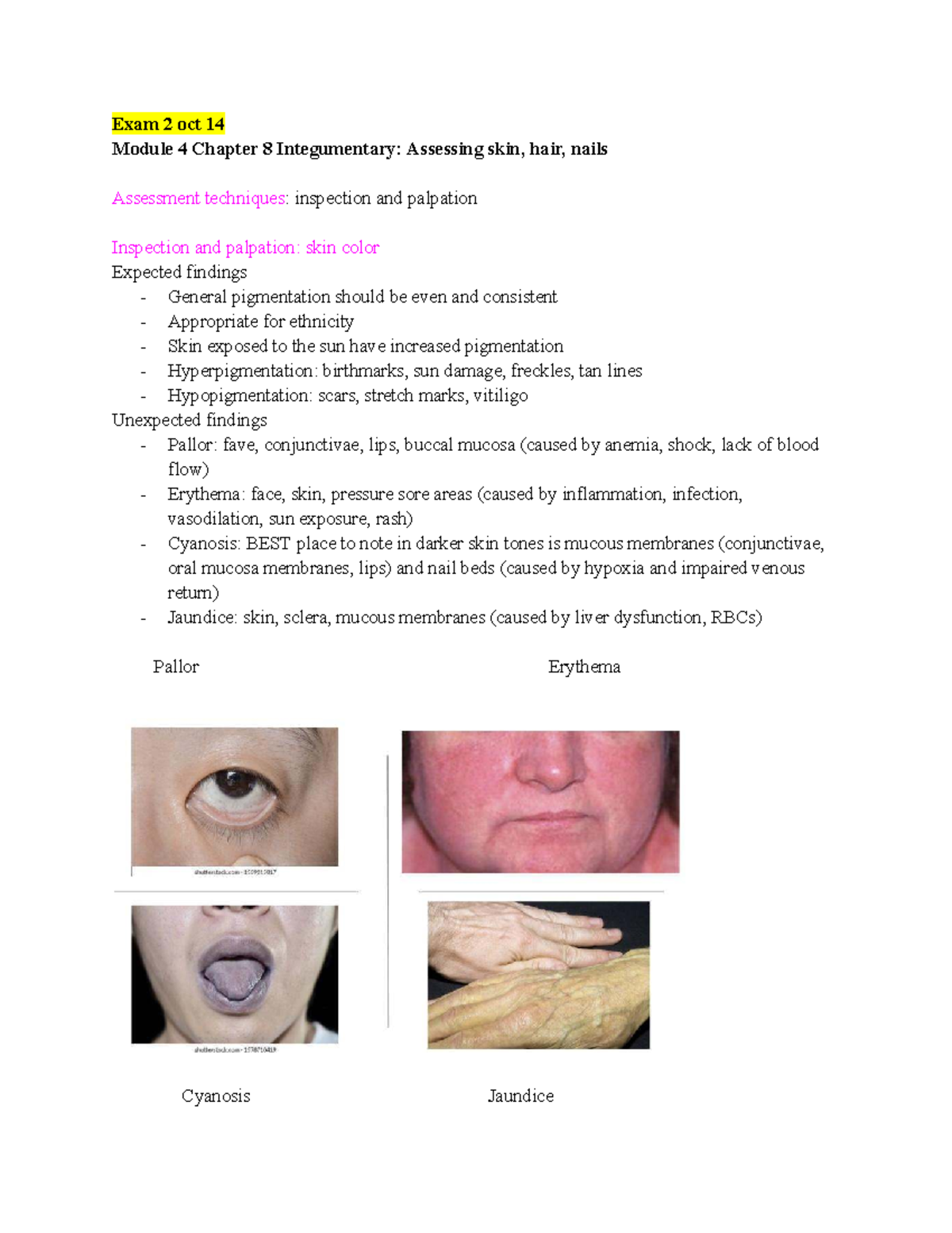 Exam 2 Review: Modules 4, 5, 6 & 7 - Integumentary & Head Assessment ...