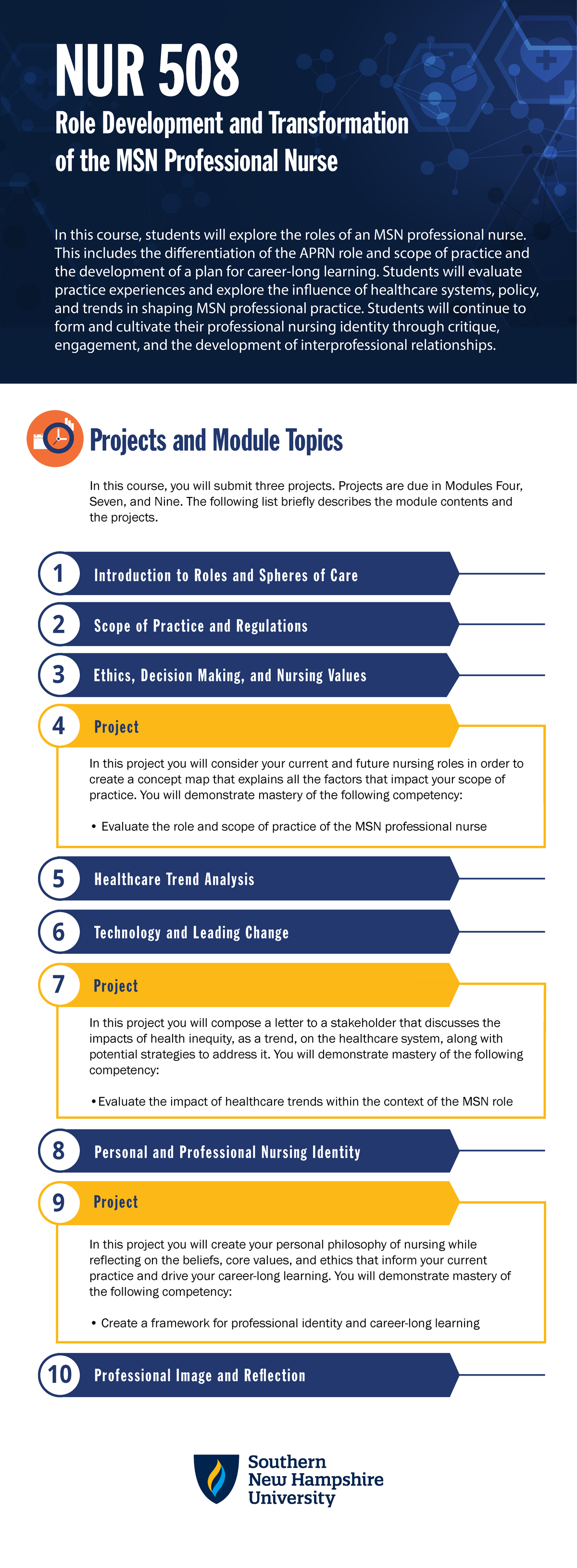 NUR 508 Infographic: MSN Professional Nurse Role Development - Studocu