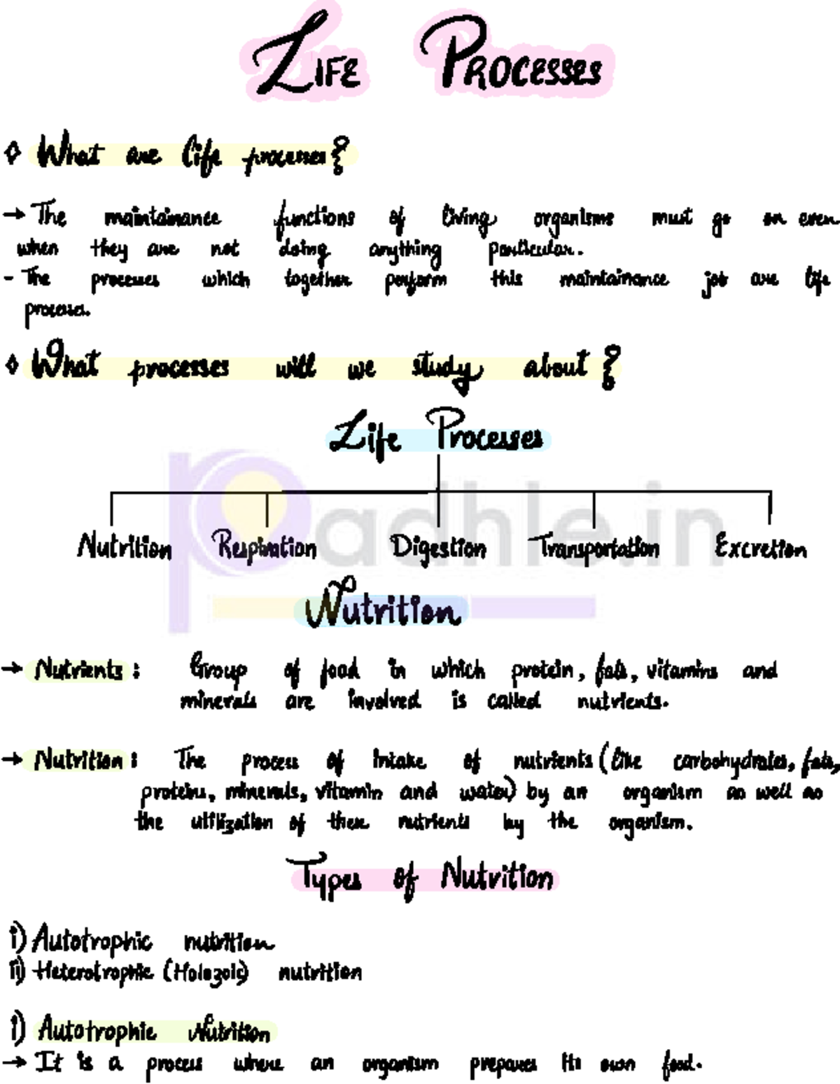 Science JP Combined Notes - LIFE Processes 4 What are life processes? → ...