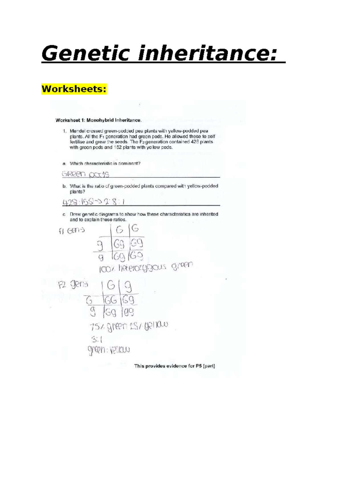 Genetic Inheritance: Worksheets on Corn Counting Experiment and Blood ...